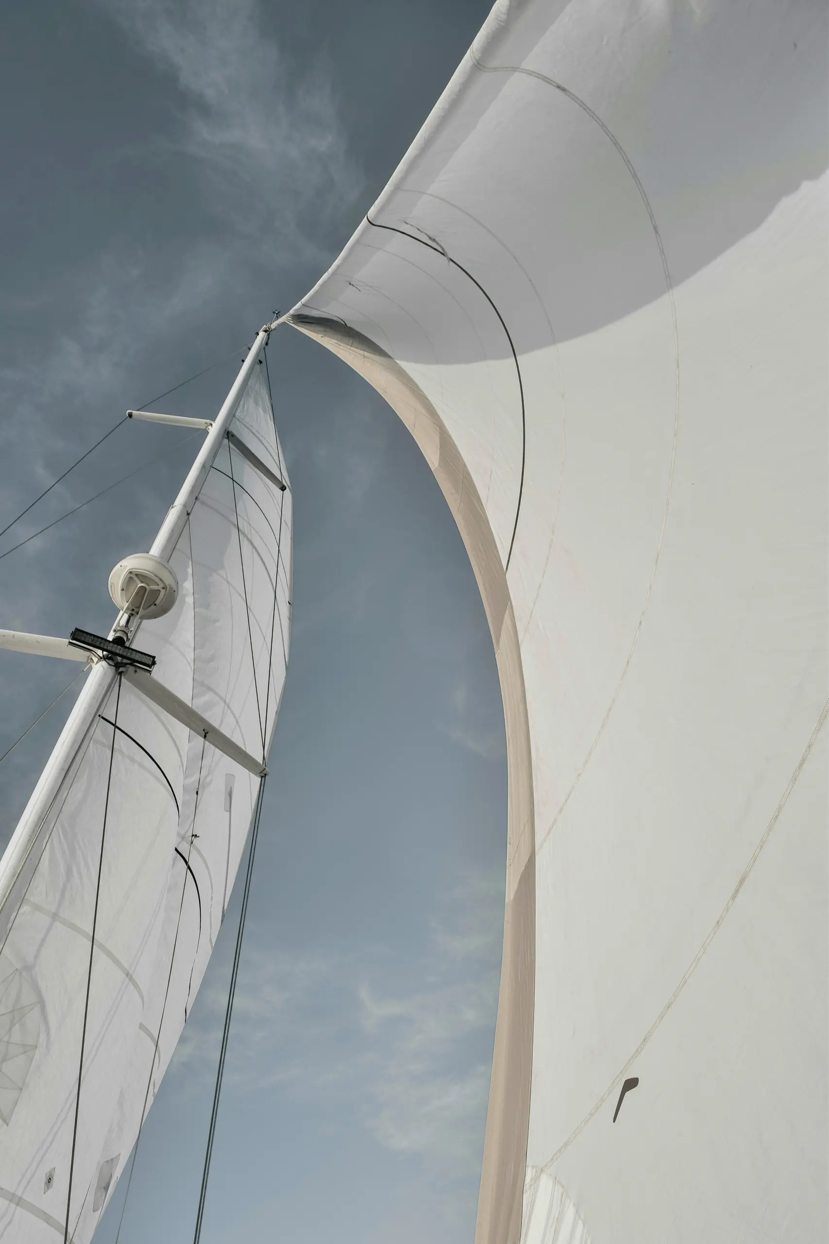 Portfolio Managers - Primecap